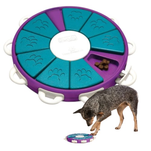 Nina Ottosson Dog Twister Interaktywna Edukacyjna Gra Dla Psów poz. 3 ...